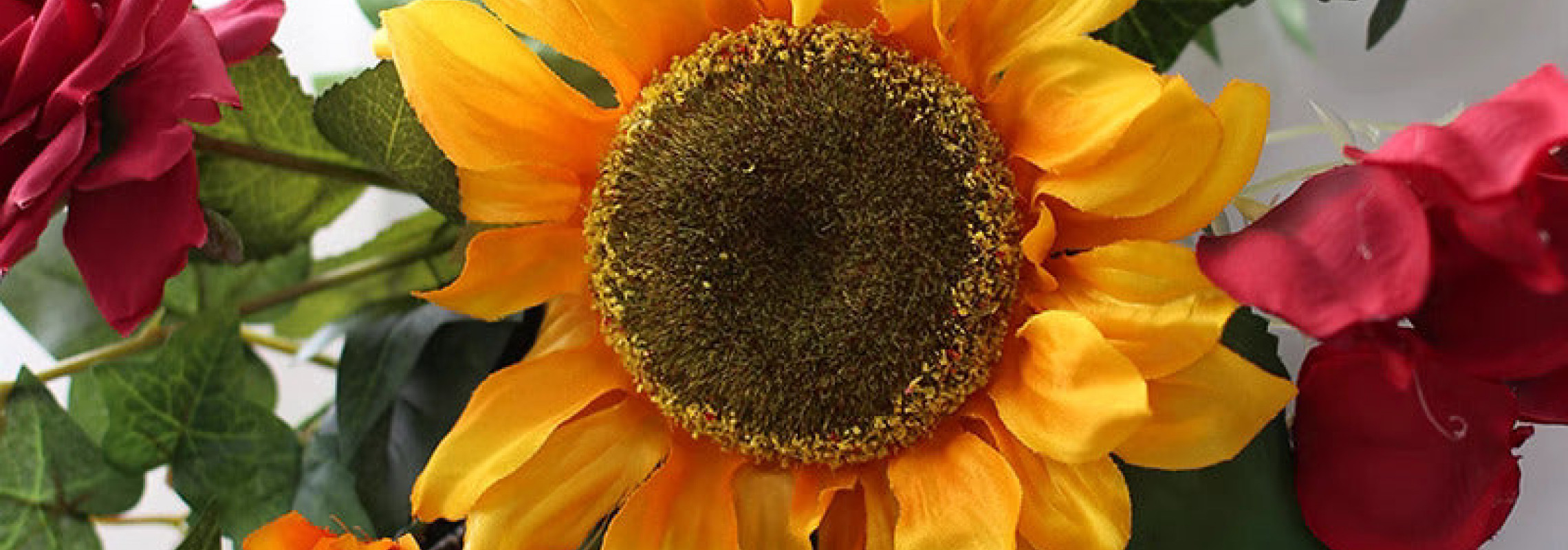 All You Need to Know About Sunflowers - The Happiest Flower on Earth